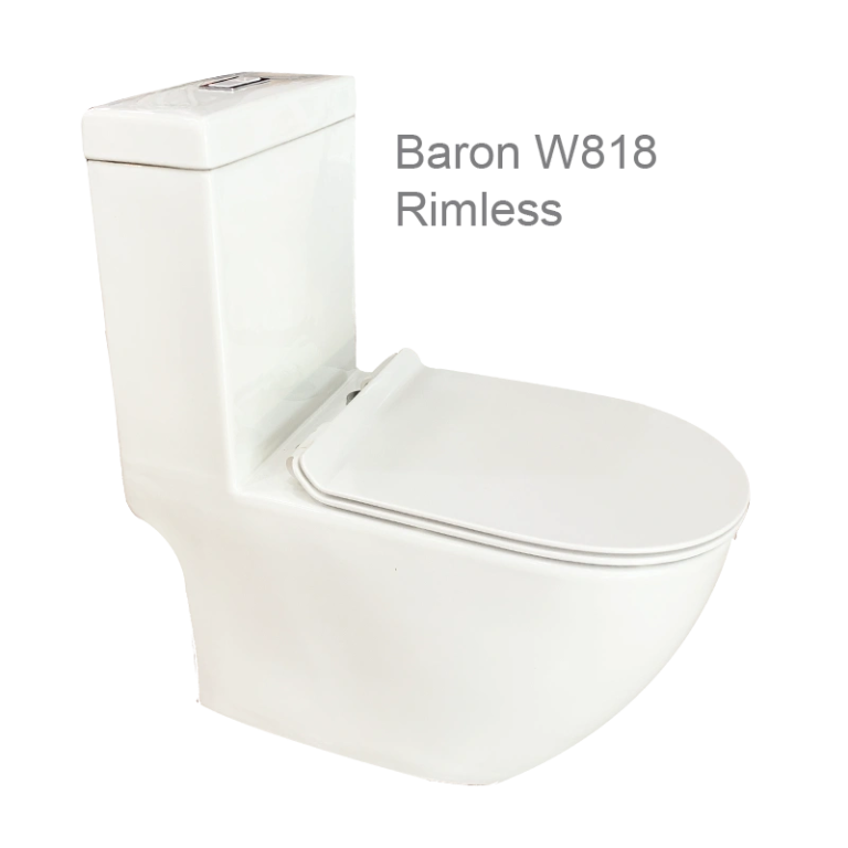 Toilet Bowl